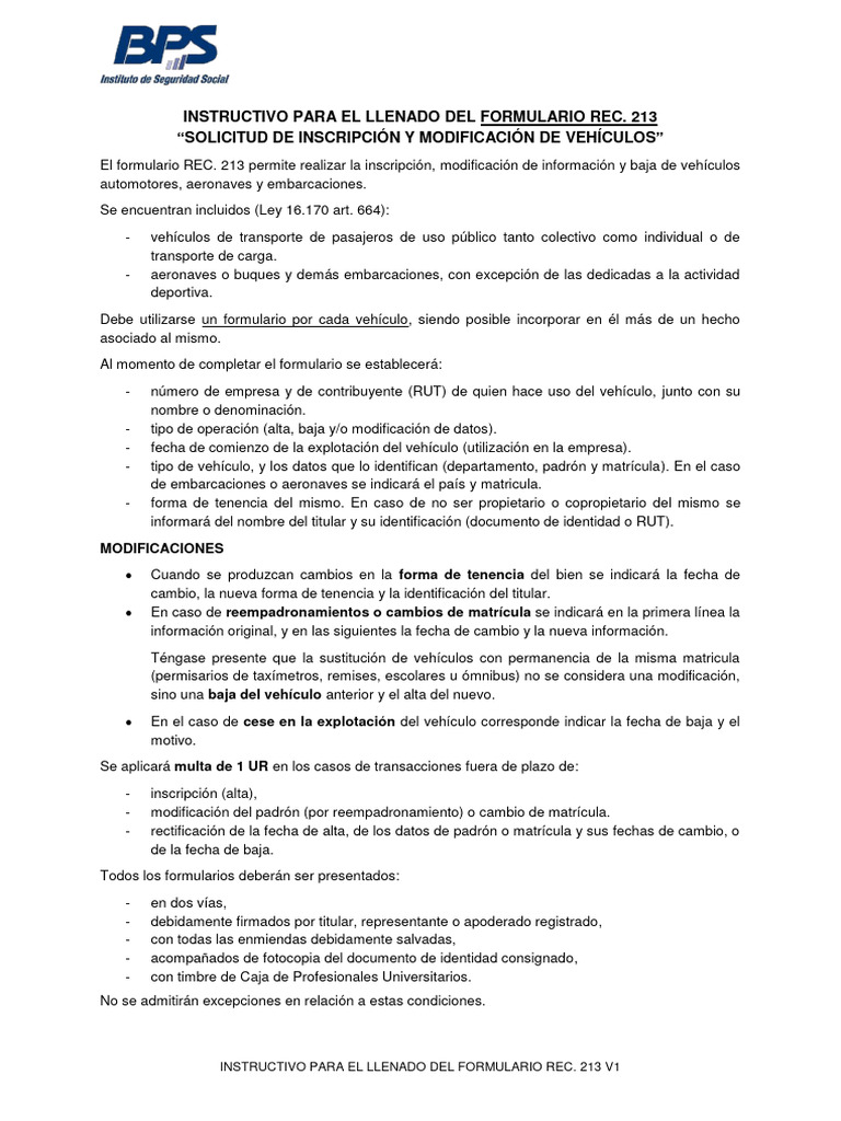 Instructivo Del Formulario Rec. 213 Vehiculos | PDF | Placa de ...
