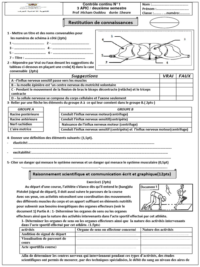 Évaluation sur le Système Nerveux 4ème | PDF | Anatomie | Neuroscience