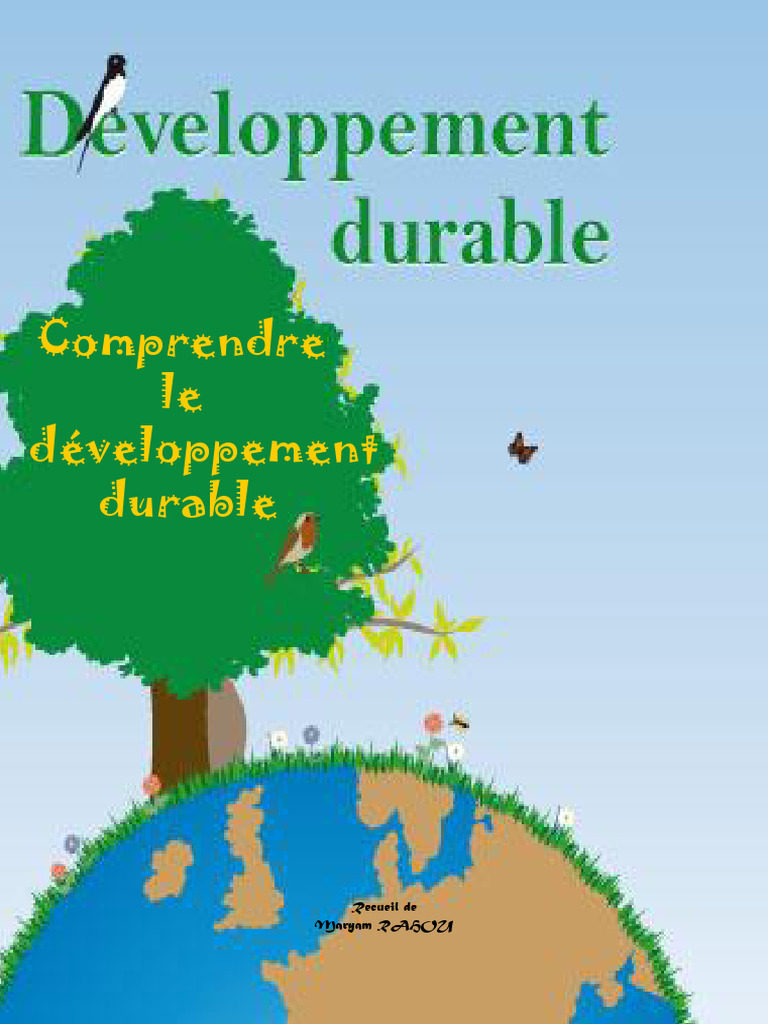 Comprendre le développement durable | PDF | Développement durable ...