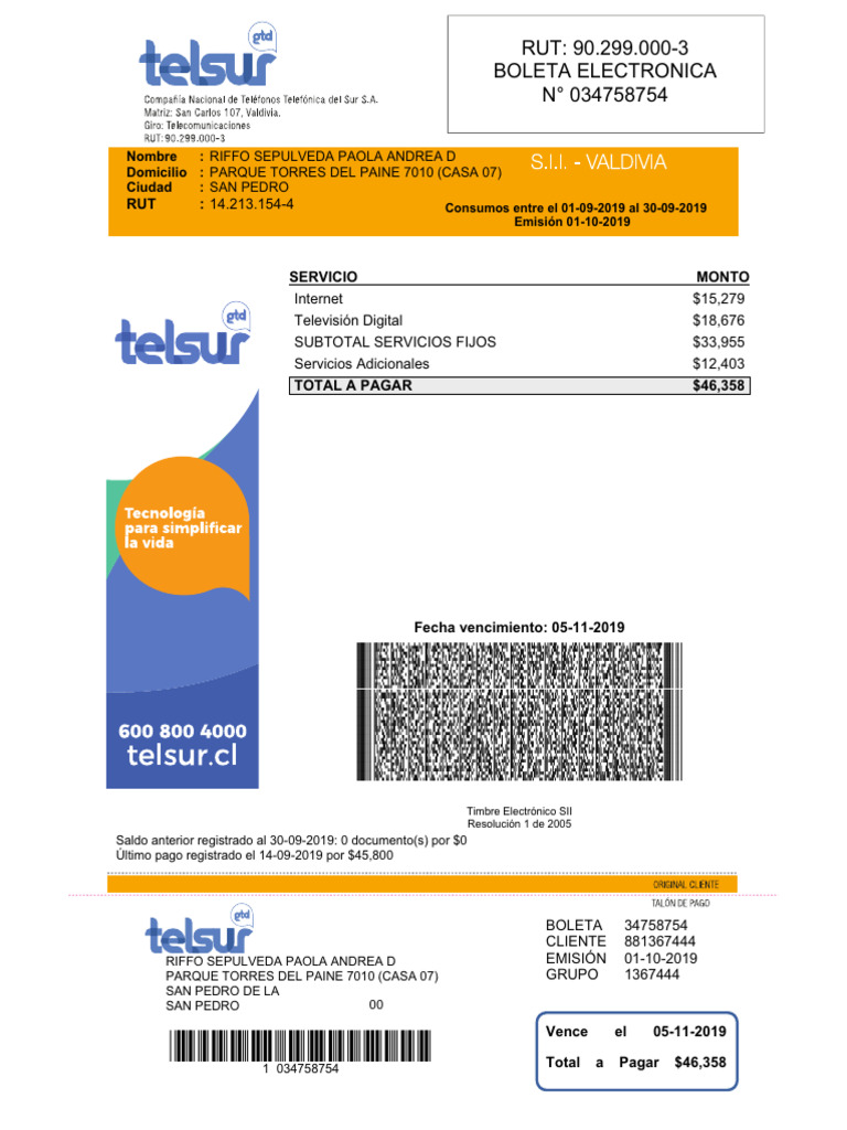 Boleta Telefonica Del Sur | PDF