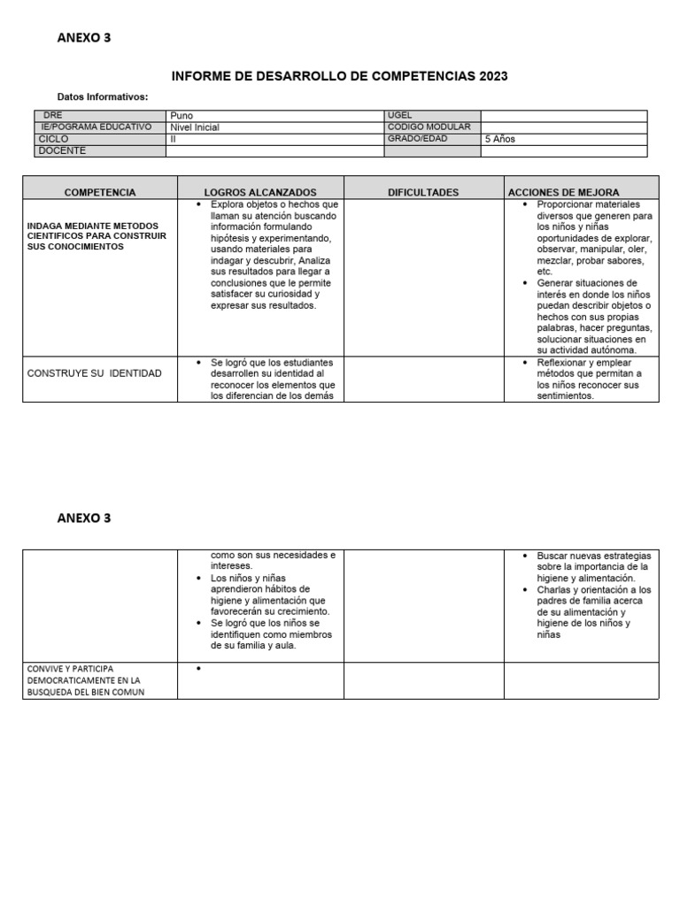 Informe de Desarrollo de Competencias 2023 | PDF