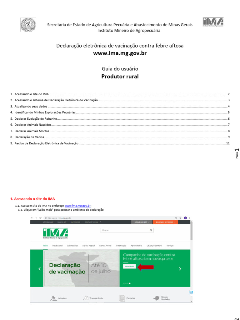 Aftosa Passo Declaracao Eletronica Ma 2020 | PDF | Tecnologia e Engenharia
