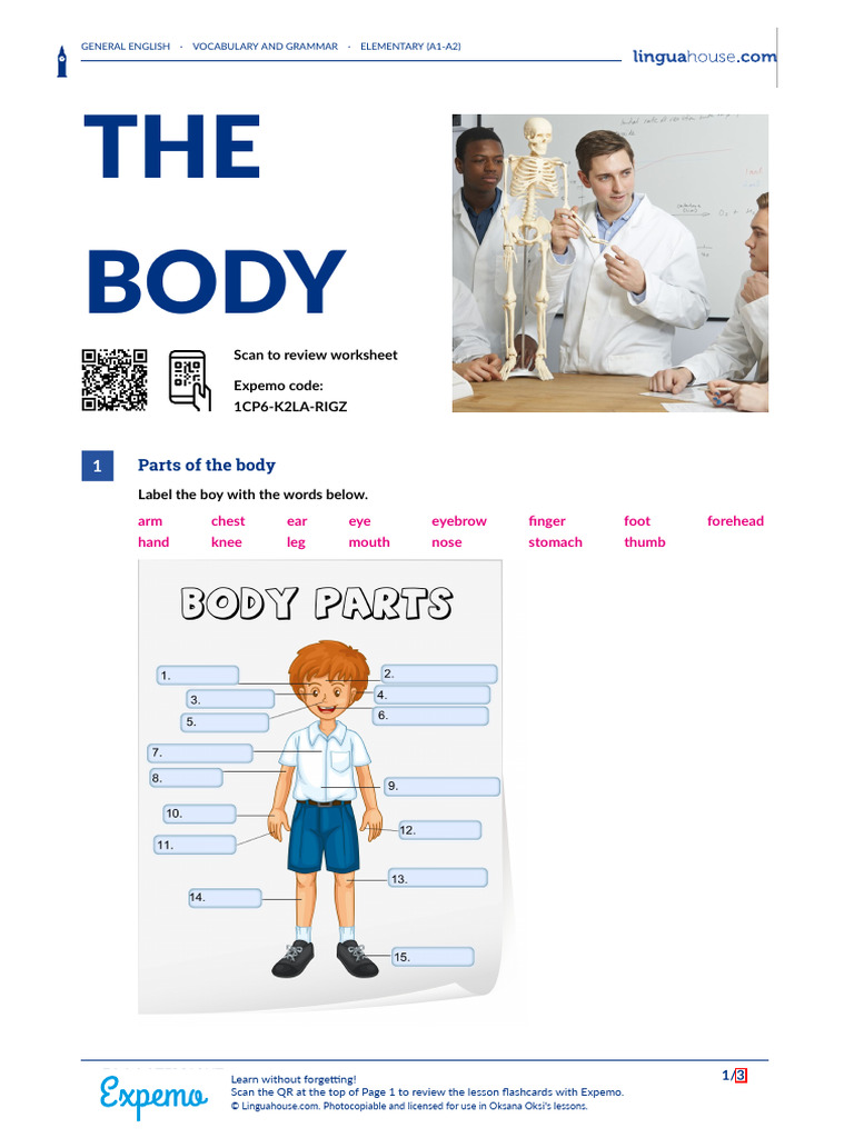 Body Parts and Actions for Beginners | PDF | Syntax | Grammar
