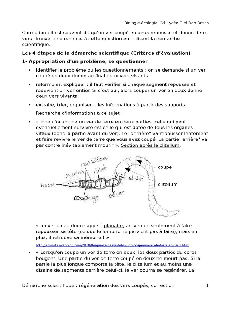 Régénération des vers coupés : étude scientifique | PDF | Sciences et ...