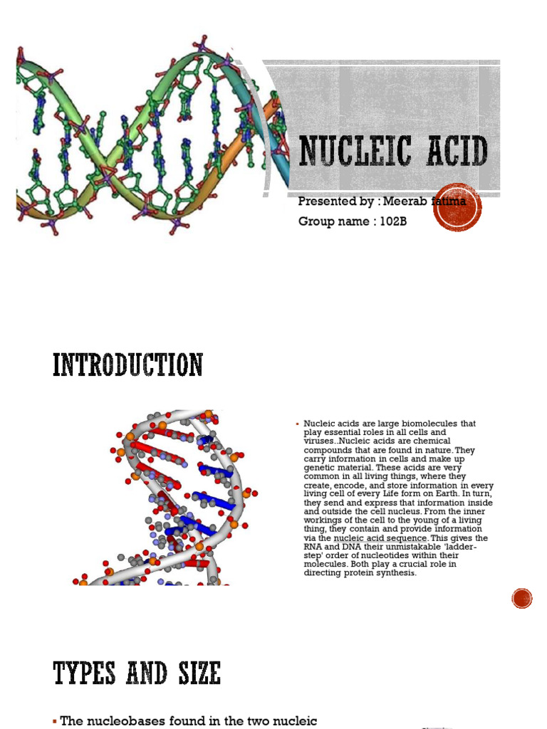 Nucleic Acid | PDF | Nucleic Acids | Dna