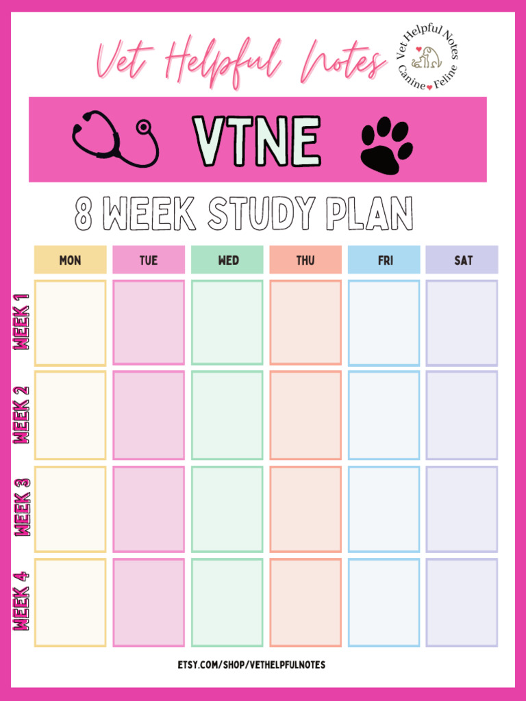 Freebievtne Study Plan 8 Weeks 2 | PDF