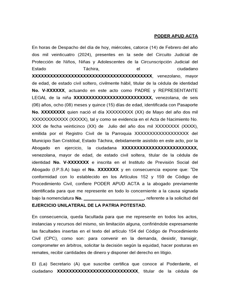Poder Apud Acta Modelo Proteccion | Descargar gratis PDF ...