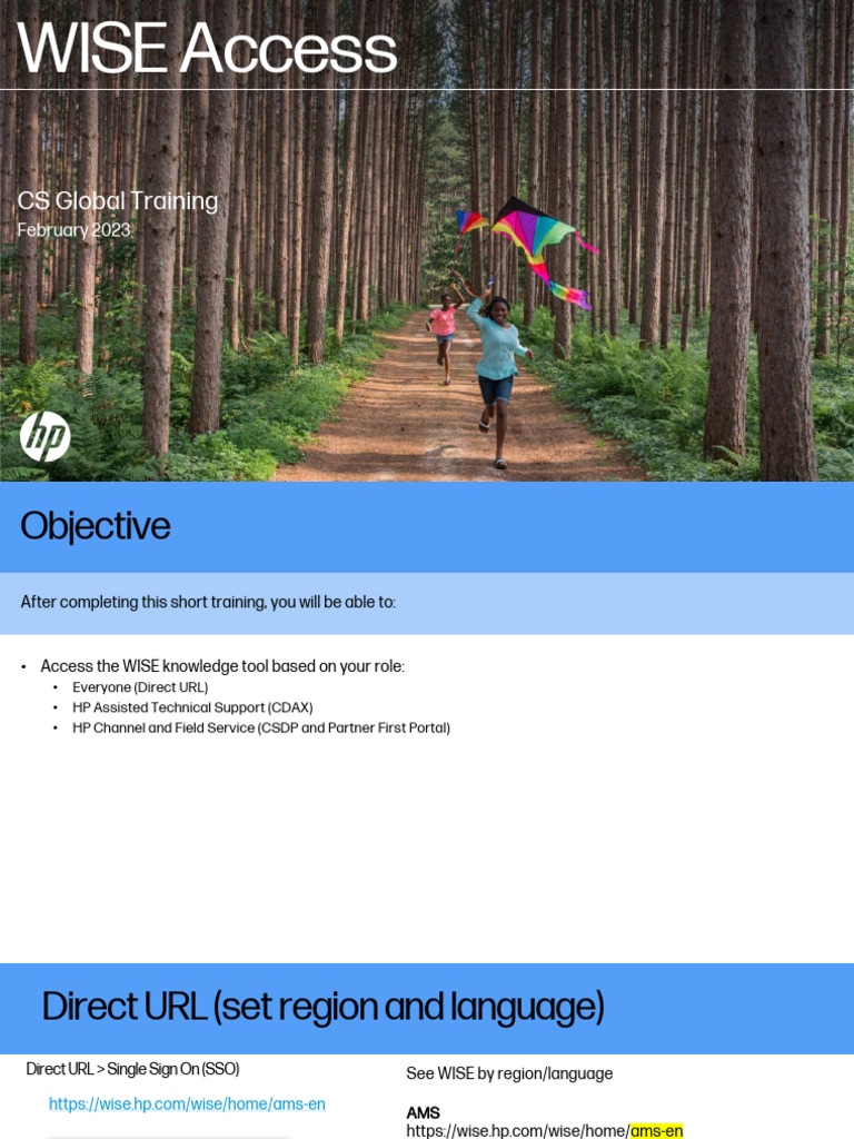 WISE Knowledge Tool 01 Access | PDF