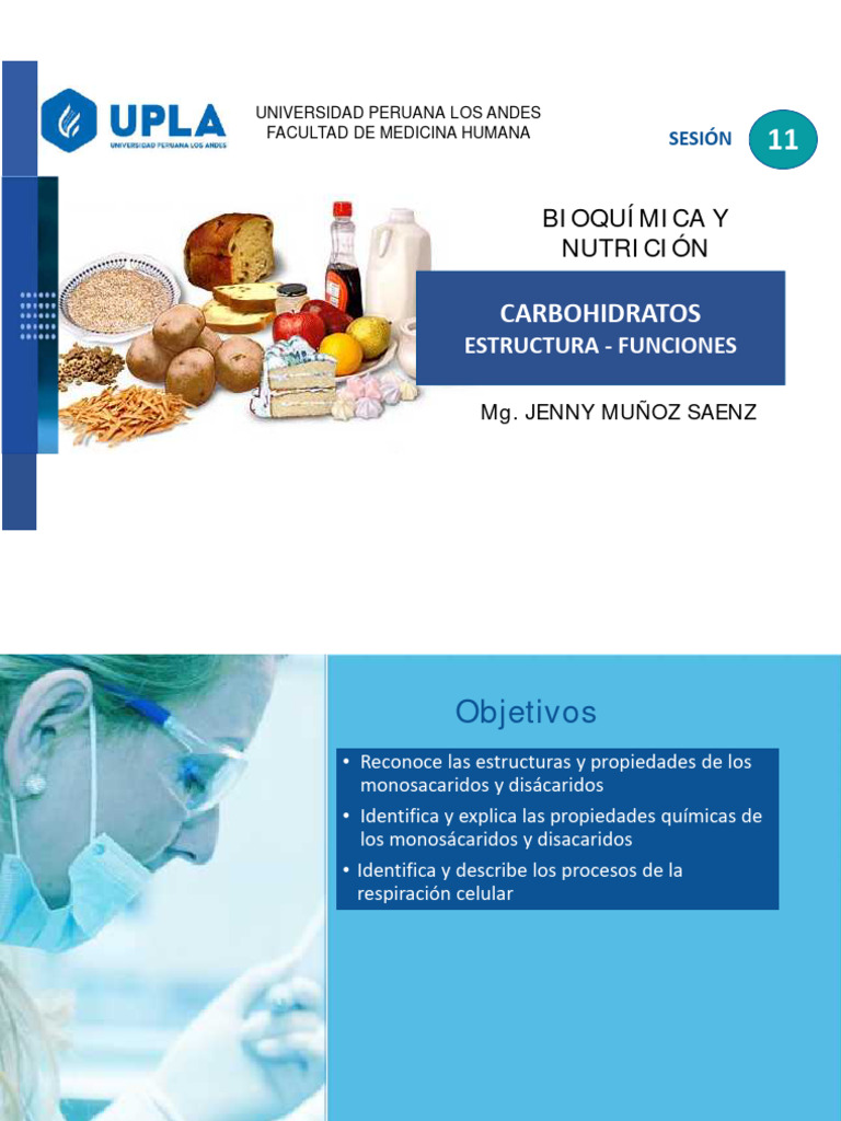 Carbohidratos: Estructura y Función | PDF | Carbohidratos | Glucosa