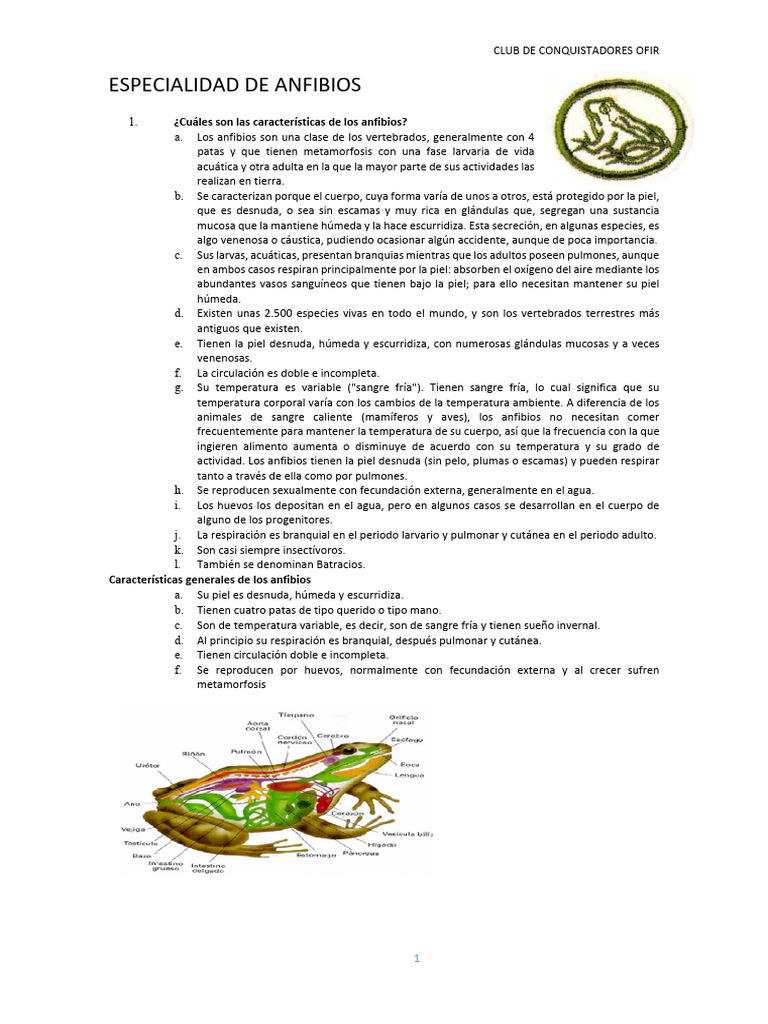 Especialidad de Anfibios Ofir | PDF