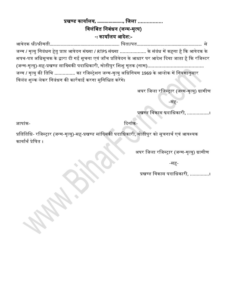 Bihar Birth Certificate Application Form New | PDF