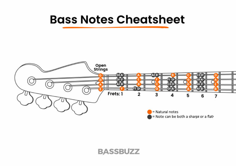 Bass Notes Cheat Sheet | PDF