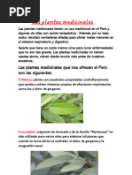 Plantas Medicinales de La Sierra | PDF