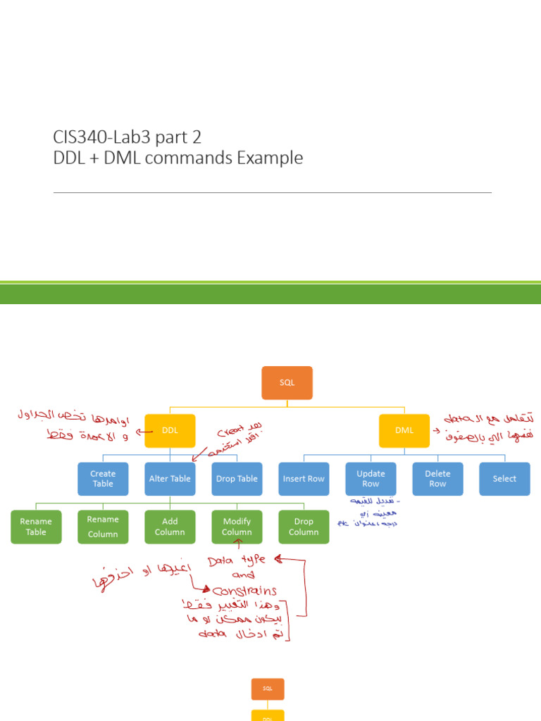 CIS340-lab#3-part 3 | PDF | Computing | Information Technology Management
