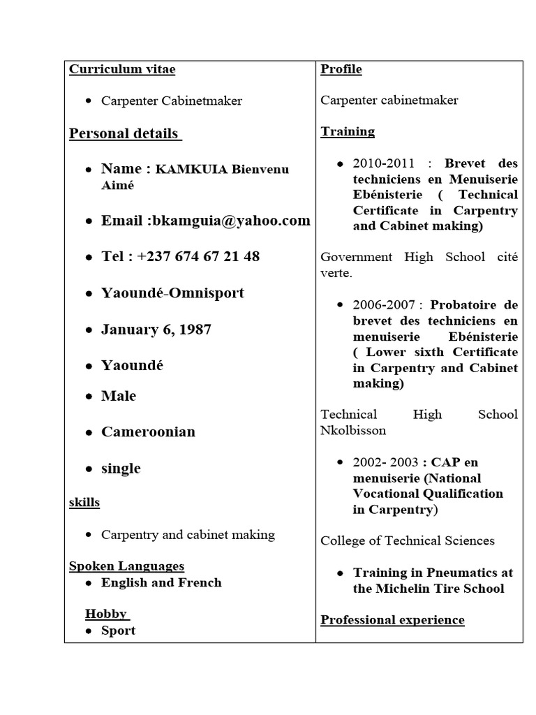 Curriculum Vitae Kamguia | PDF | Carpentry | Cabinetry