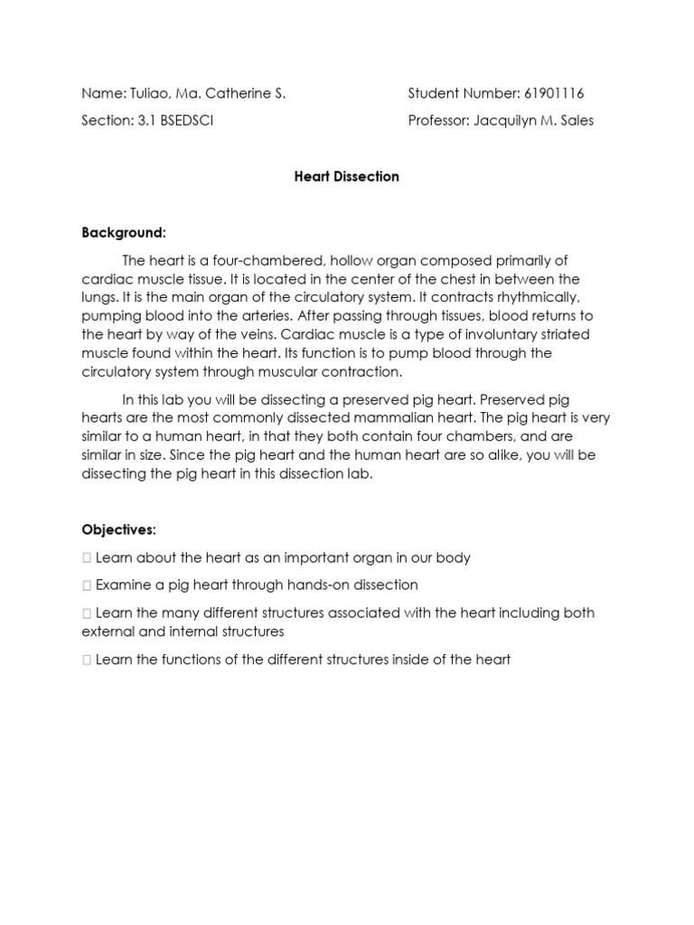 (Worksheet) | PDF | Heart Valve | Ventricle (Heart)
