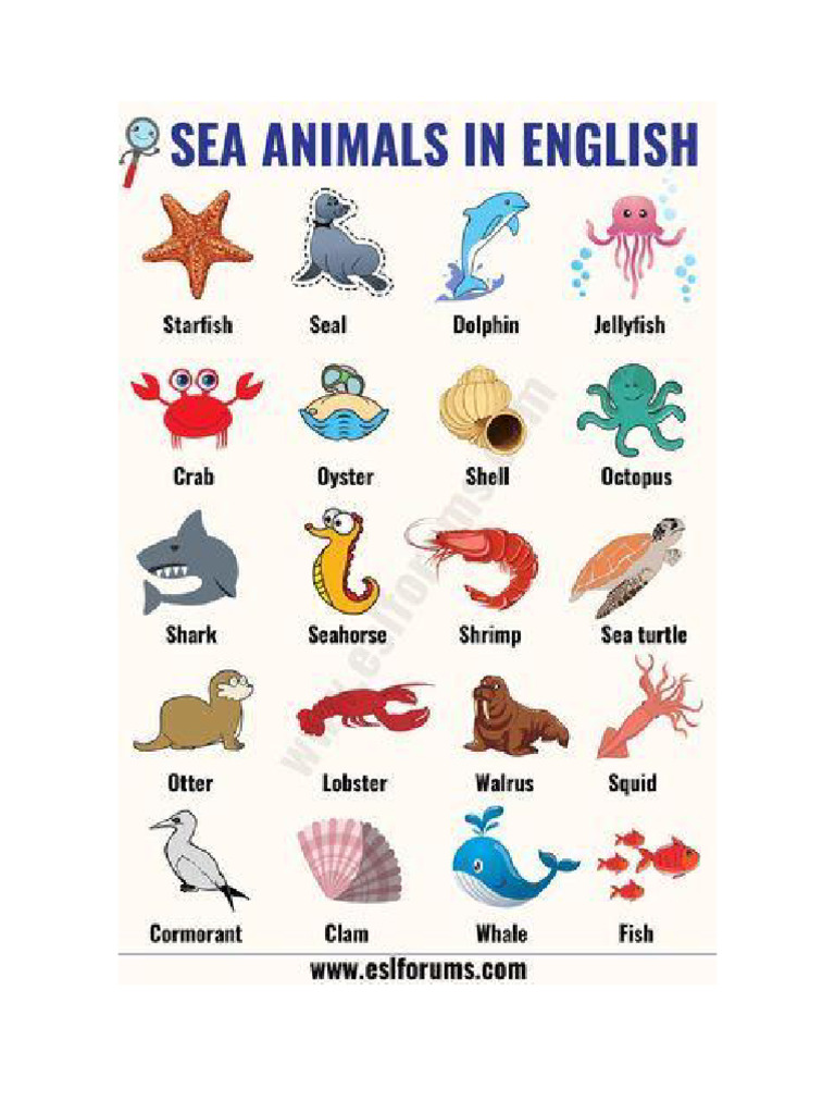 Sea Animals | PDF