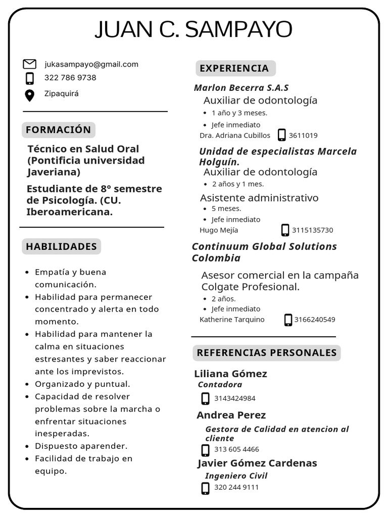Curriculum. Juan Sampayo | PDF