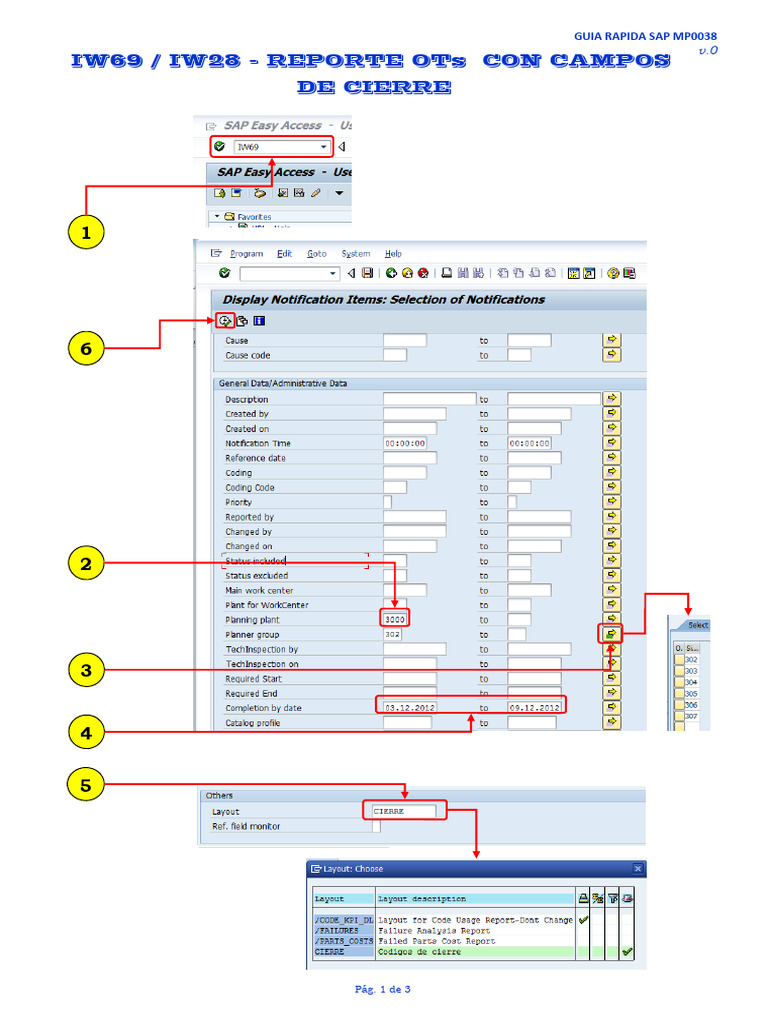 Guia Rapida Sap Mp0038 (Iw69-Iw28 Reporte Ots Con Campos de Cierre) V 0 ...