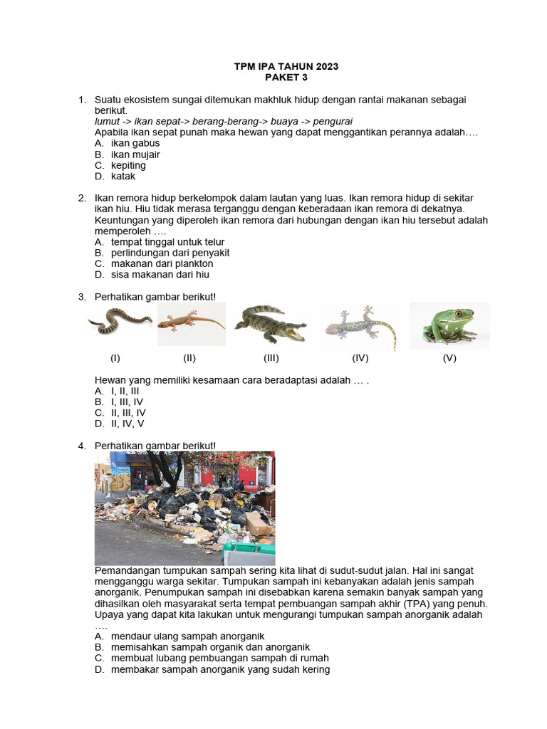 TPM Ipa 2 Paket 3 | PDF