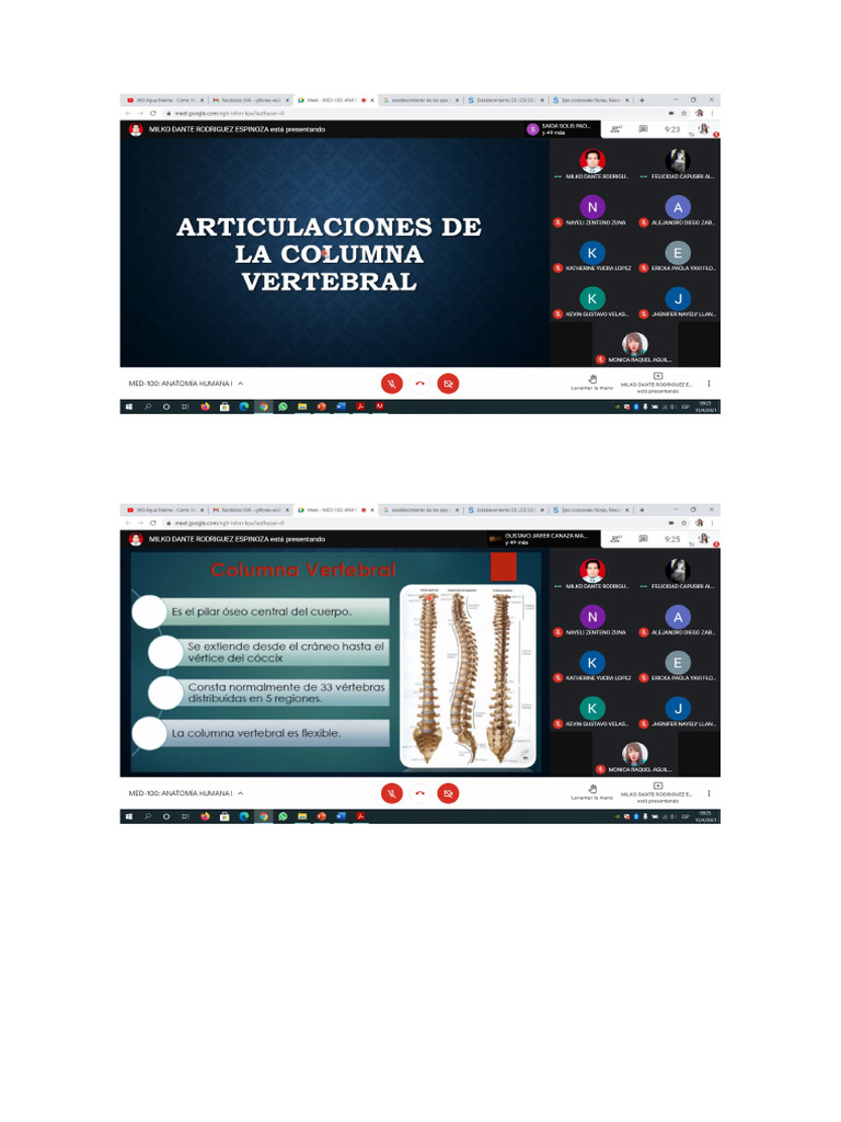 CLASE 3 ANATOMIA 2DO P | PDF