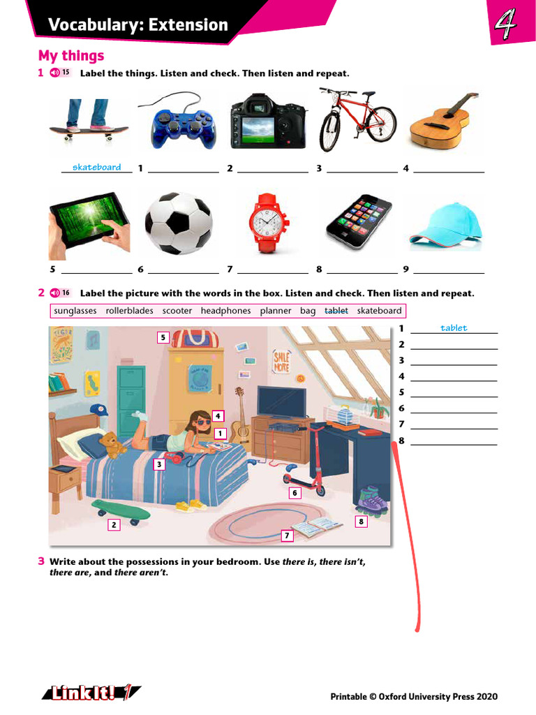 Practica 2ND Year | PDF | Guinea Pig | Adverb