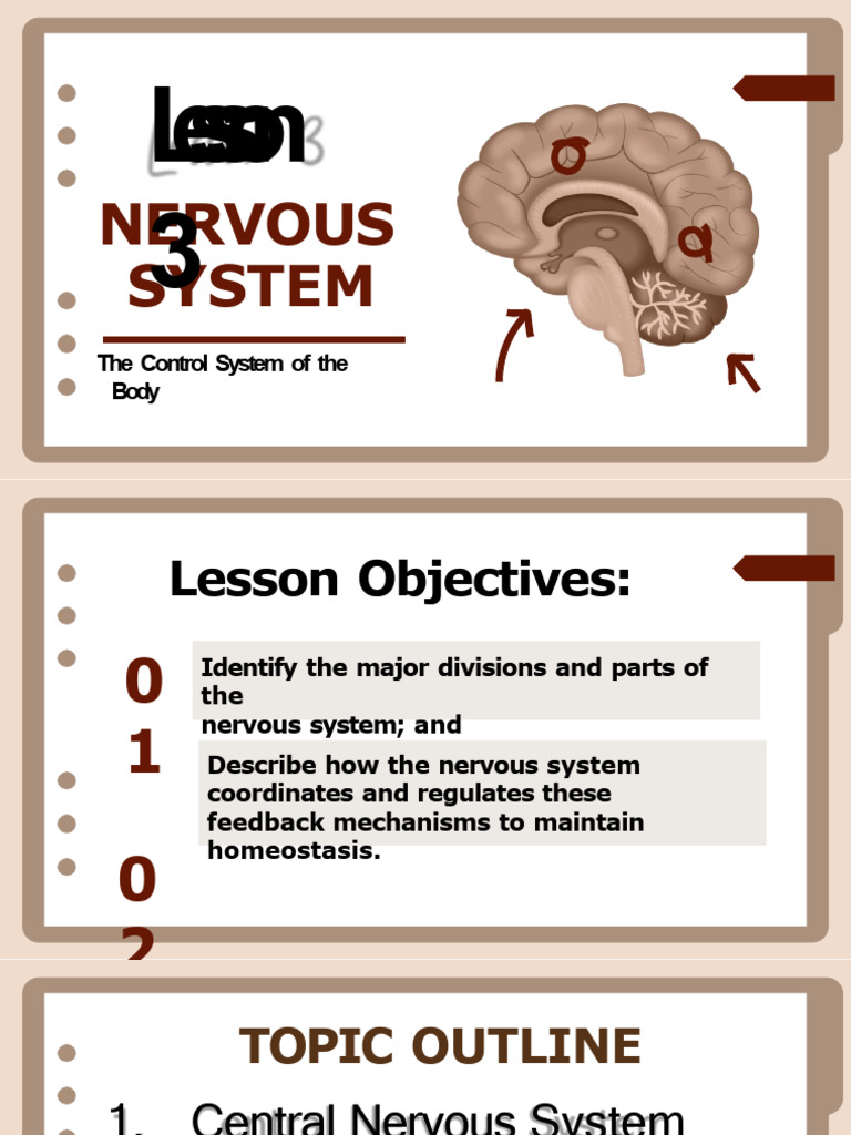 q3 Lesson 3 Nervous System | PDF | Nervous System | Neuron