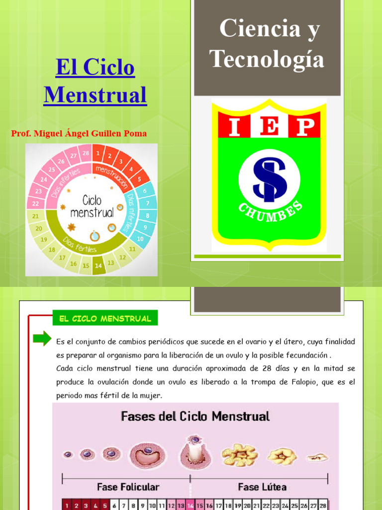 Entendiendo el Ciclo Menstrual y Fecundación | PDF