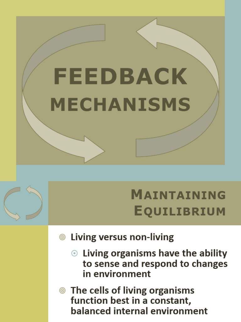 Lesson 6 Feedback Mechanisms | PDF | Endocrine System | Homeostasis