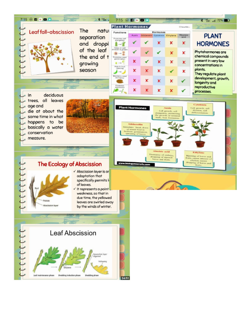 Document (10) Bio | PDF