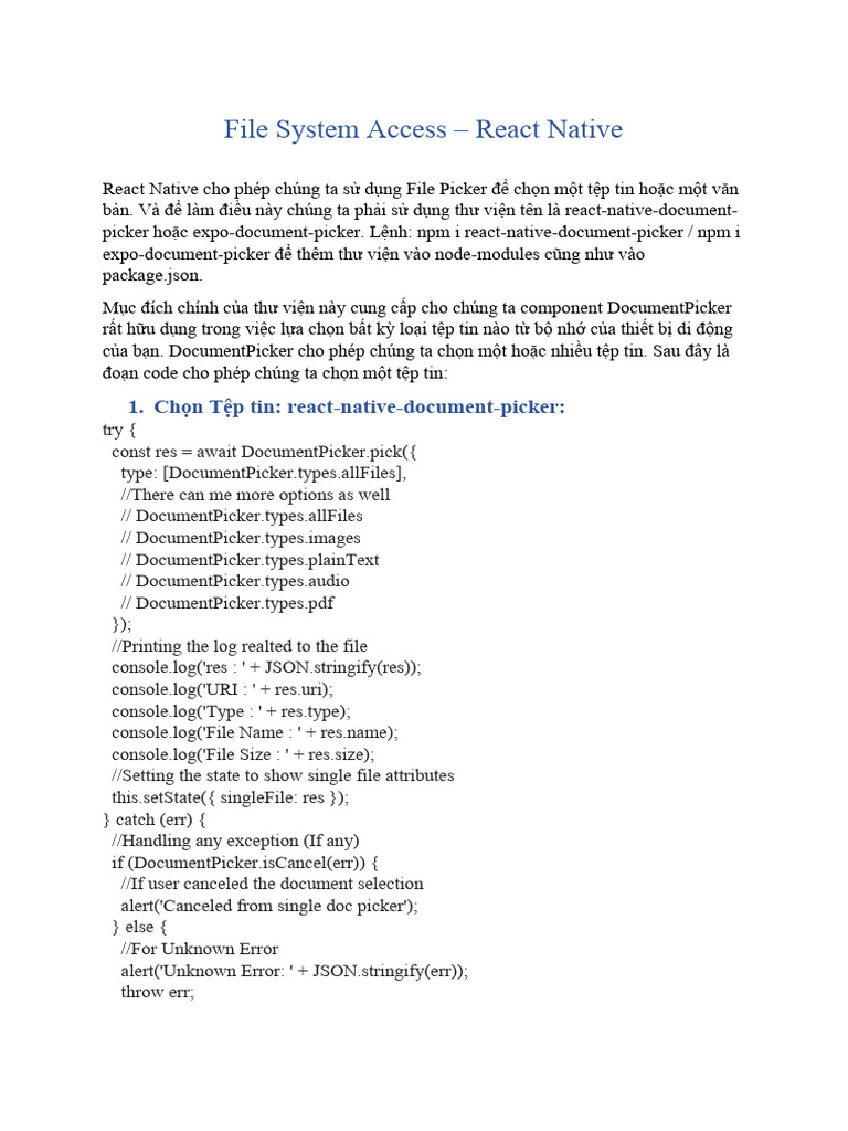 File System Access - React Native | PDF