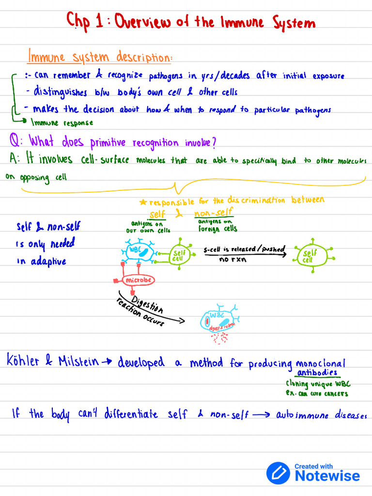 Ch1 - Overview of The Immune System | PDF
