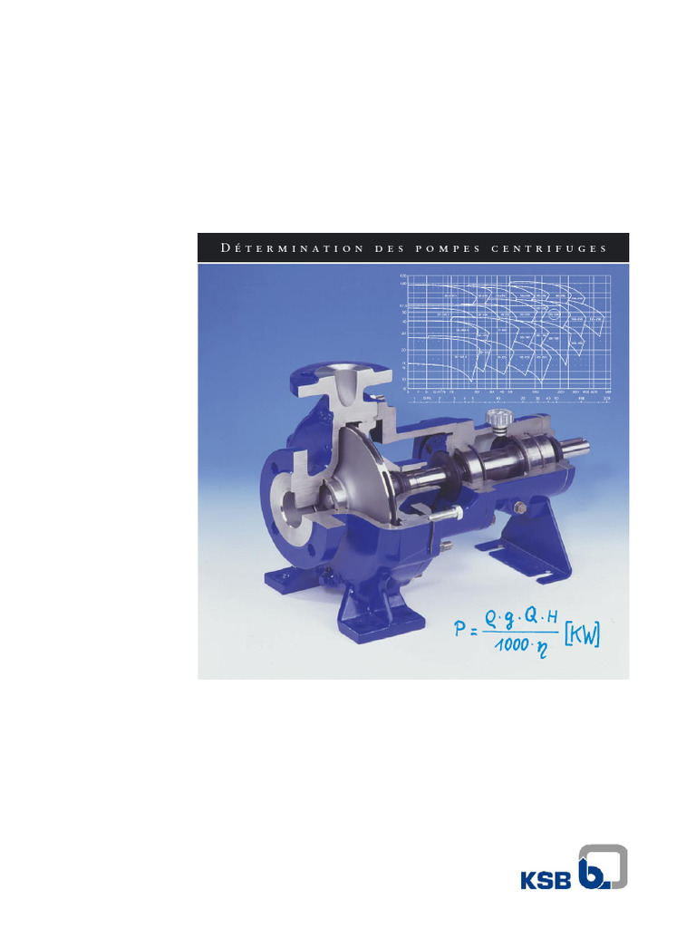 Manuel Meca Flu KSB 2007 | PDF