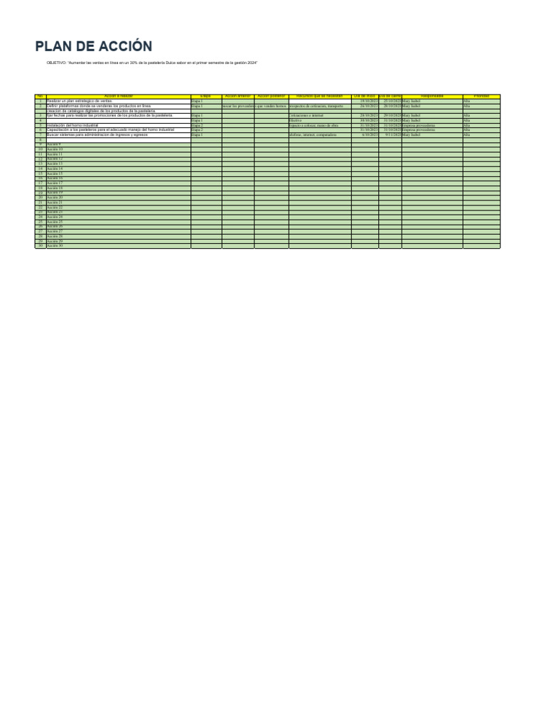 Plan de Accion | PDF