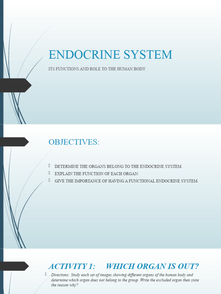 Endocrine System | PDF | Endocrine System | Glands