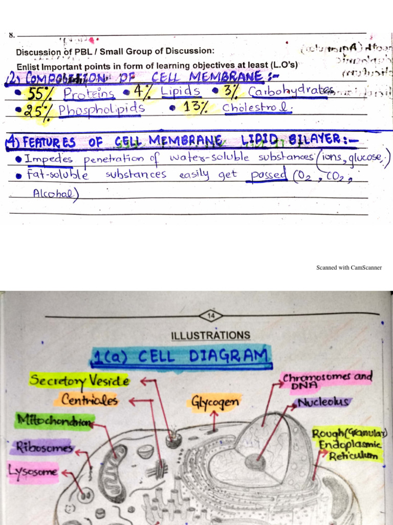 Physio LogBook Complete | PDF