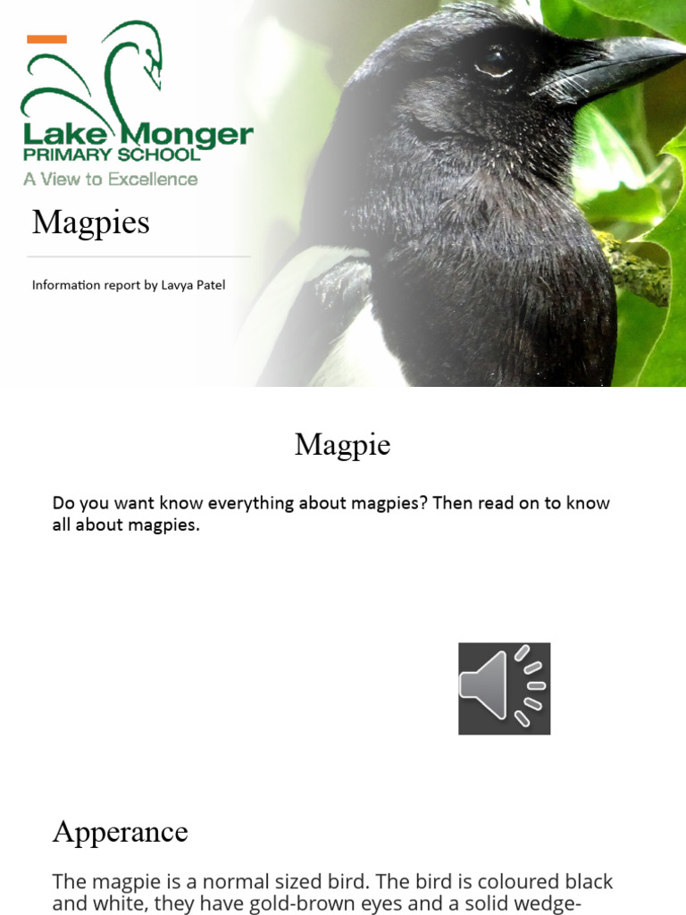 Comprehensive Guide to Magpies | PDF | Science & Mathematics