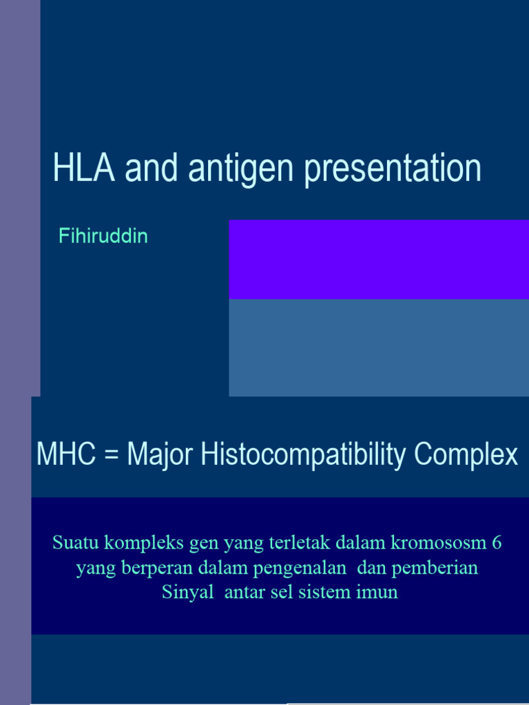 P Fihir Imun HLA | PDF | Major Histocompatibility Complex | Human Leukocyte Antigen