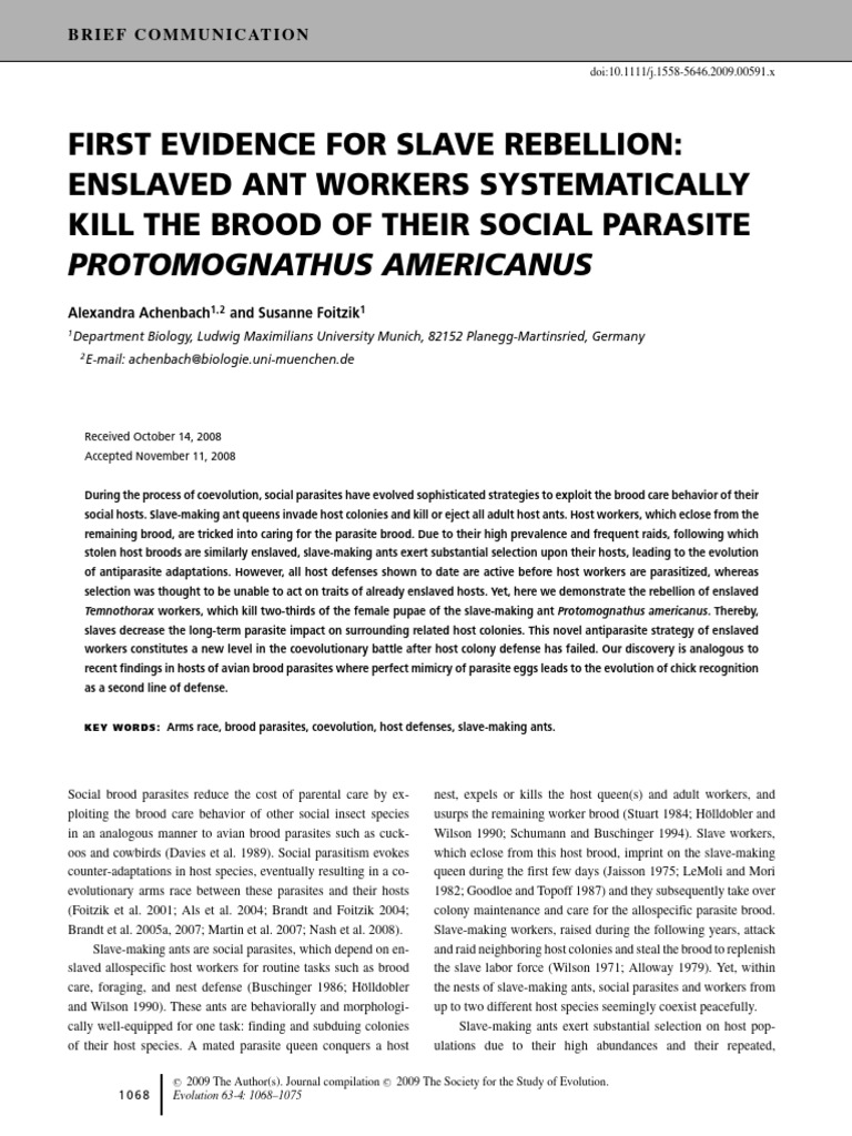 Ant Slave Rebellion | PDF