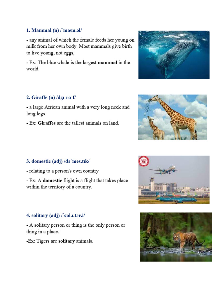 20 Academic Words - Week 3 | PDF | Mammals | Giraffe
