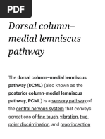 Dorsal Column-Medial Lemniscus (DCML) Pathway - Anatomy - Kenhub | PDF ...