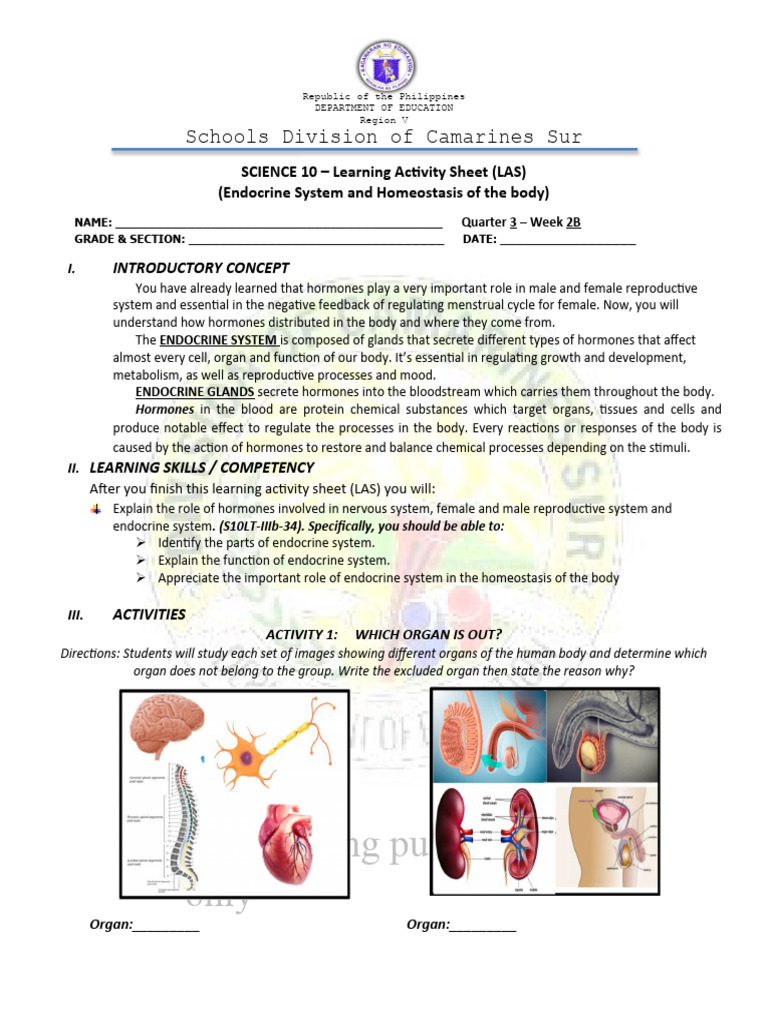 Las 3RD Quarter Week 2B | PDF | Hormone | Human Body