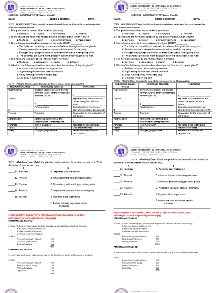 Summative 3rd Quarter | PDF | Translation (Biology) | Mirror