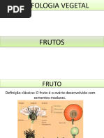 Morfologia Da Flor | PDF | Fruta | Flores