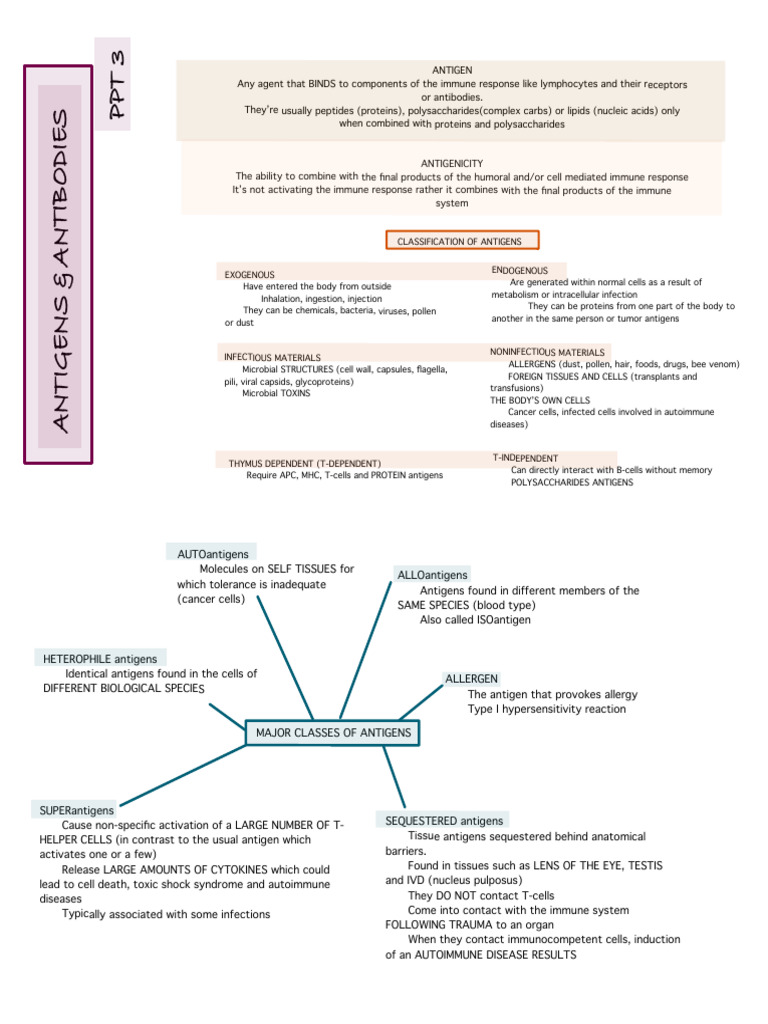 Immunology Review | PDF