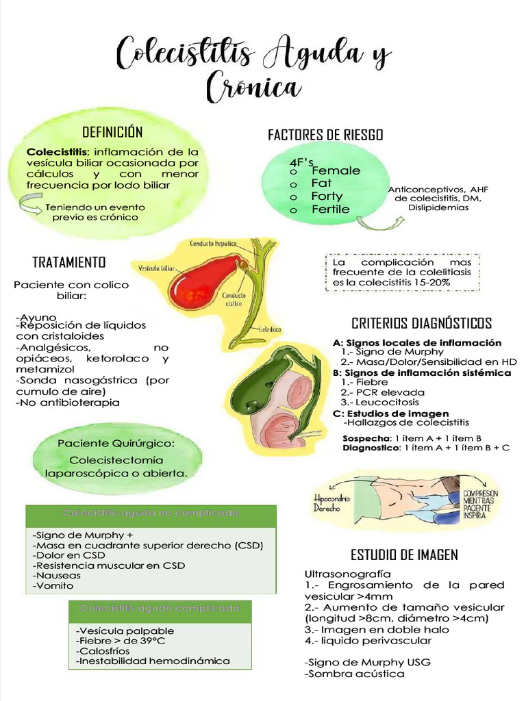 Signo De Murphy Colecistitis Medicovers Criterios Para Diagnóstico