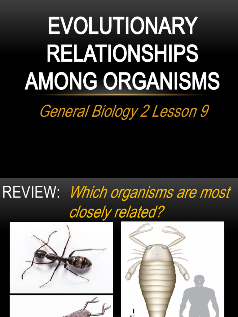 Evolutionary Relationships in Biology | PDF