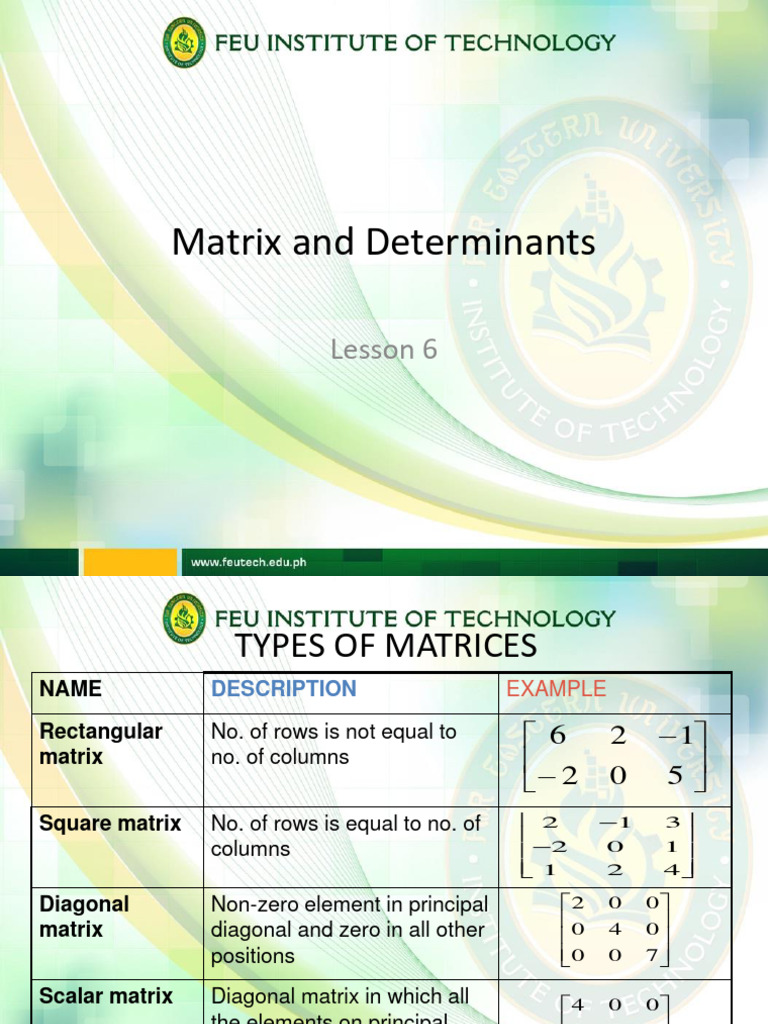 6 -- Matrix and Determinants | PDF