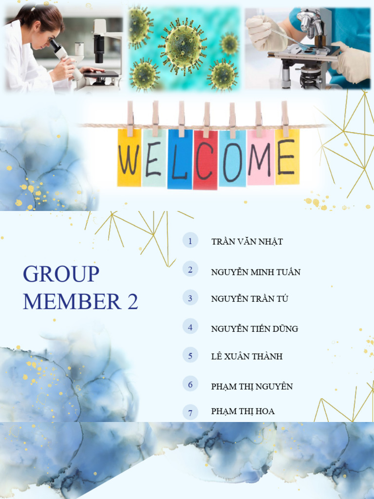 Group Member 2 | PDF