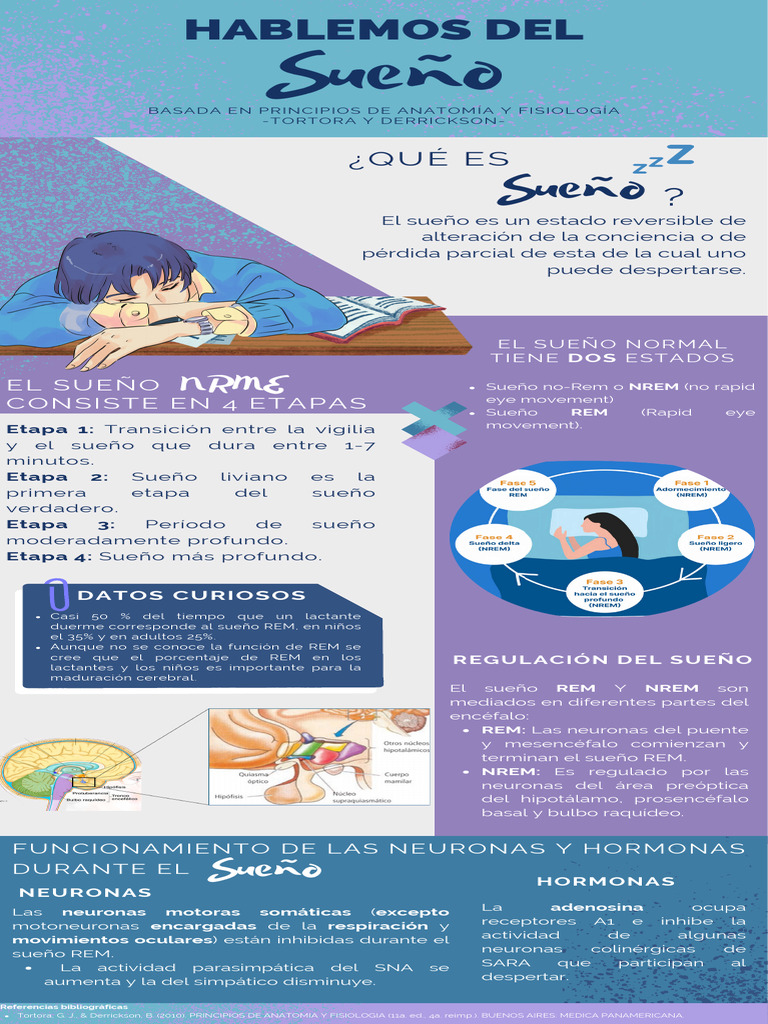 Infográfia Del Sueño-2 | PDF | Dormir | Movimiento rápido del ojo Sueño